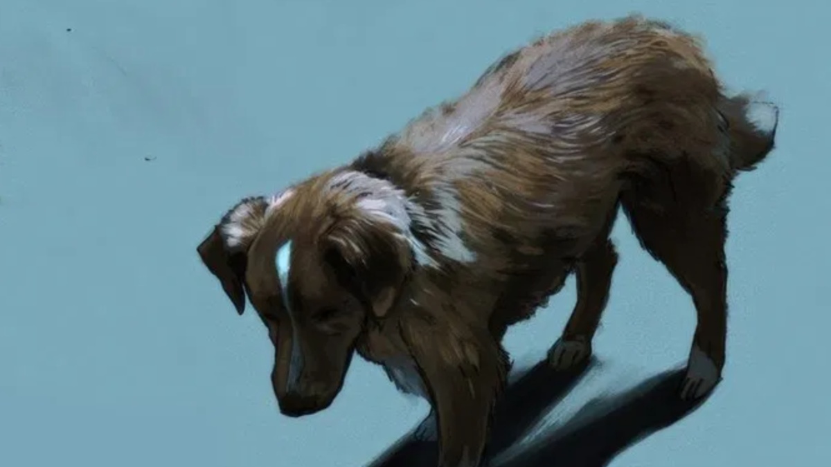Where to Watch Good Boy & Where Will It Stream?