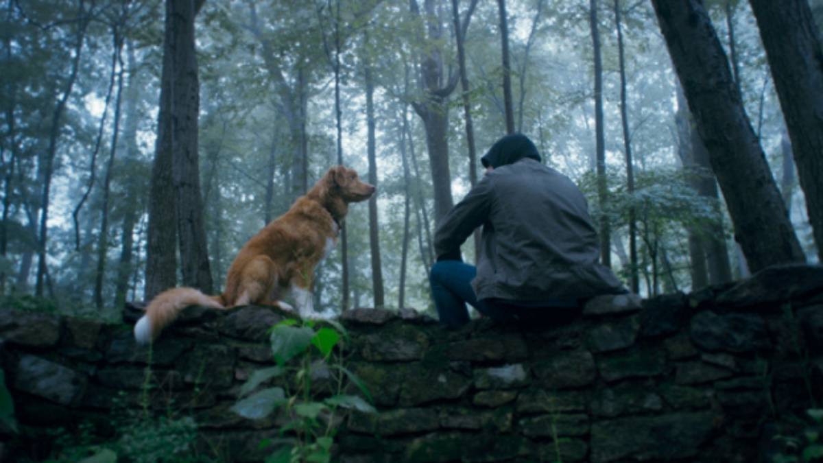 Good Boy Movie Ending Explained With Todd & Indy's Fates