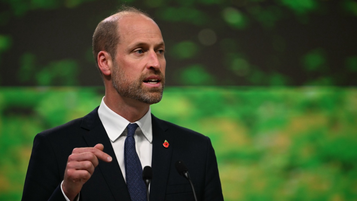 Prince William Makes DWTS Debut in Message to Robert Irwin