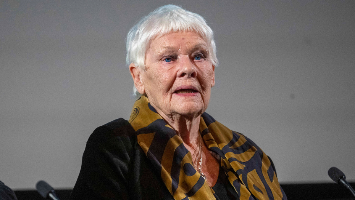 Judi Dench Says She Can't Recognize Anyone Now Amid Eye Condition Update