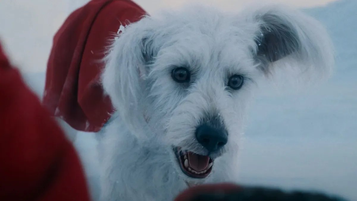 Supergirl: Watch Adorable Krypto Puppy Meet Superman in New DCU Video