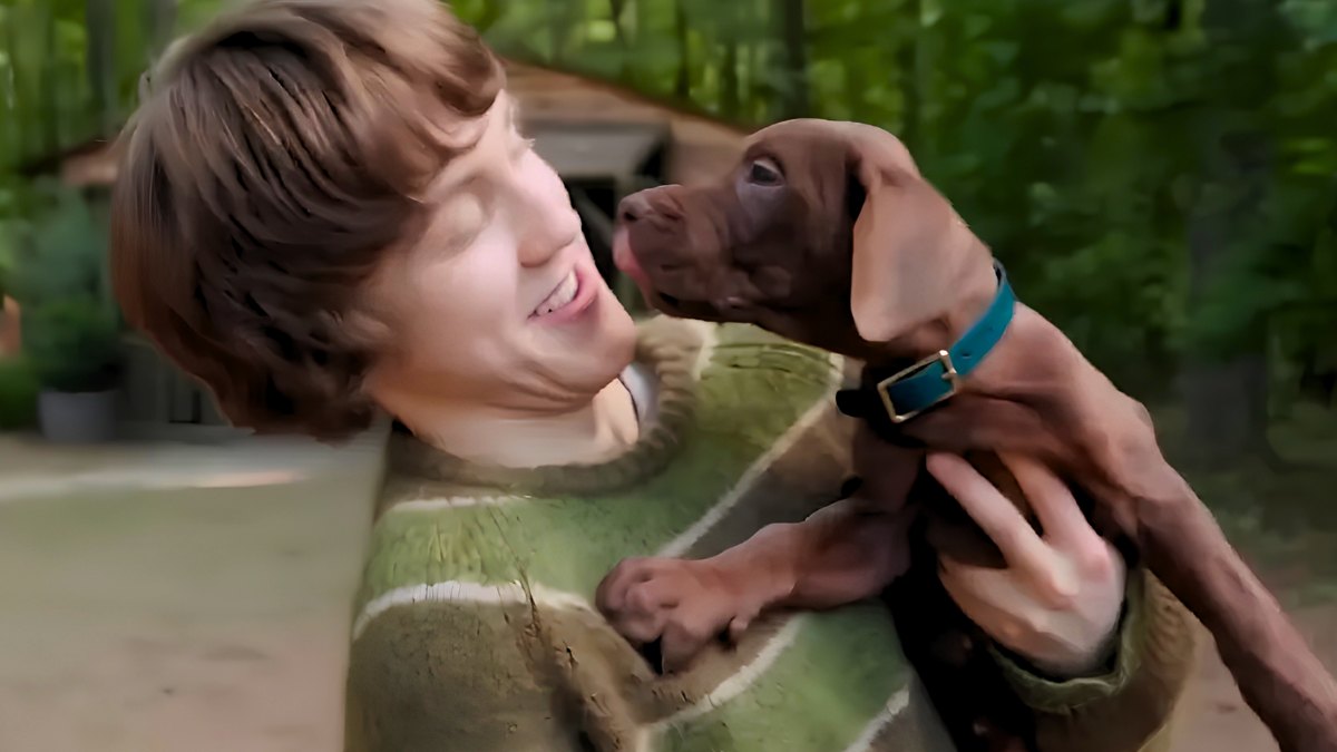 Scooby-Doo: Origins Live-Action Netflix TV Show Adds 15 to Cast