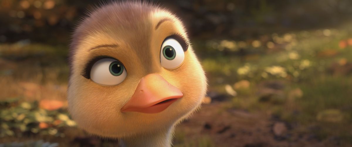 Get Ready to Play in the Duck Duck Goose Trailer