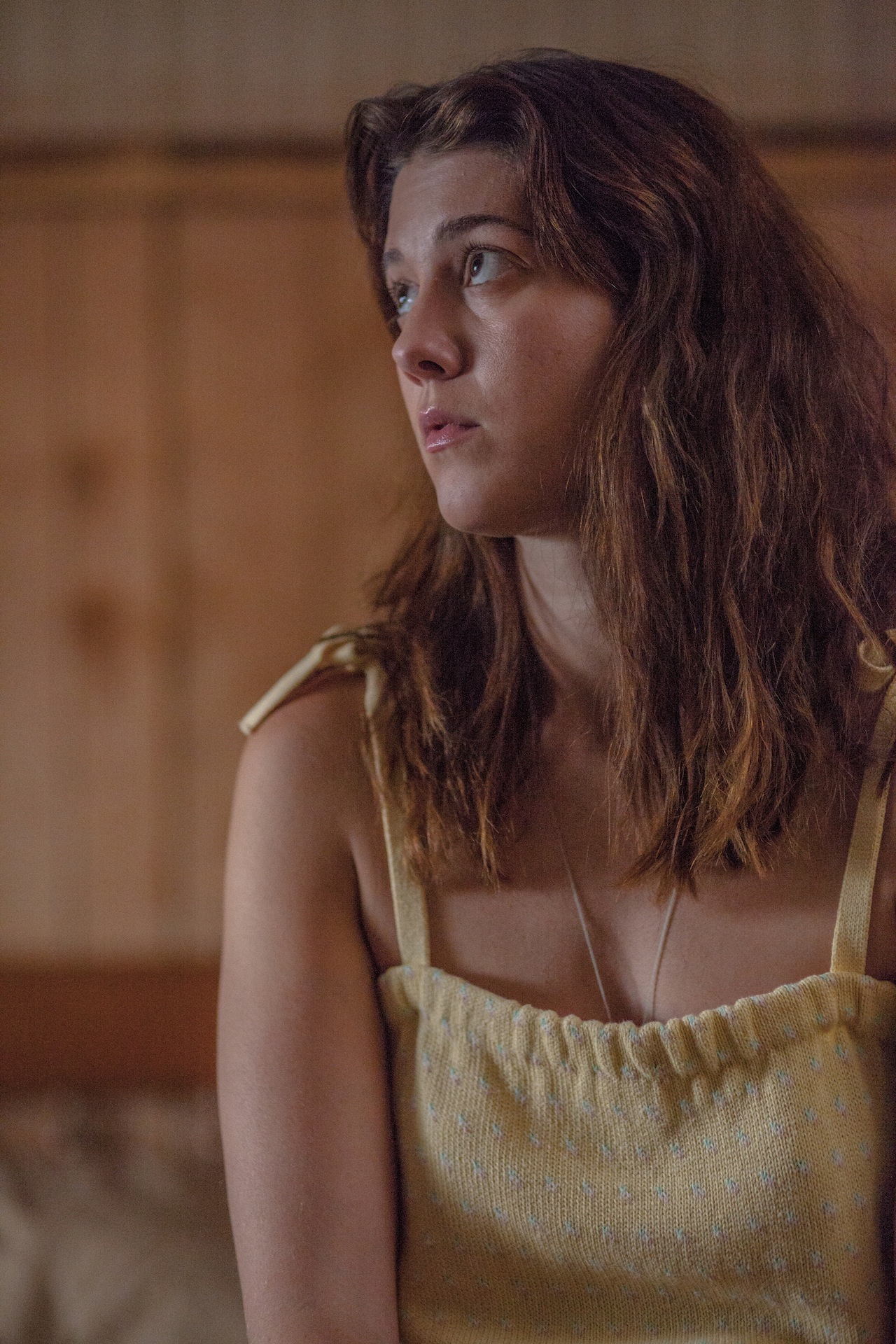 Exclusive: A Stylish Illustrated Poster for Faults, Starring Mary ...