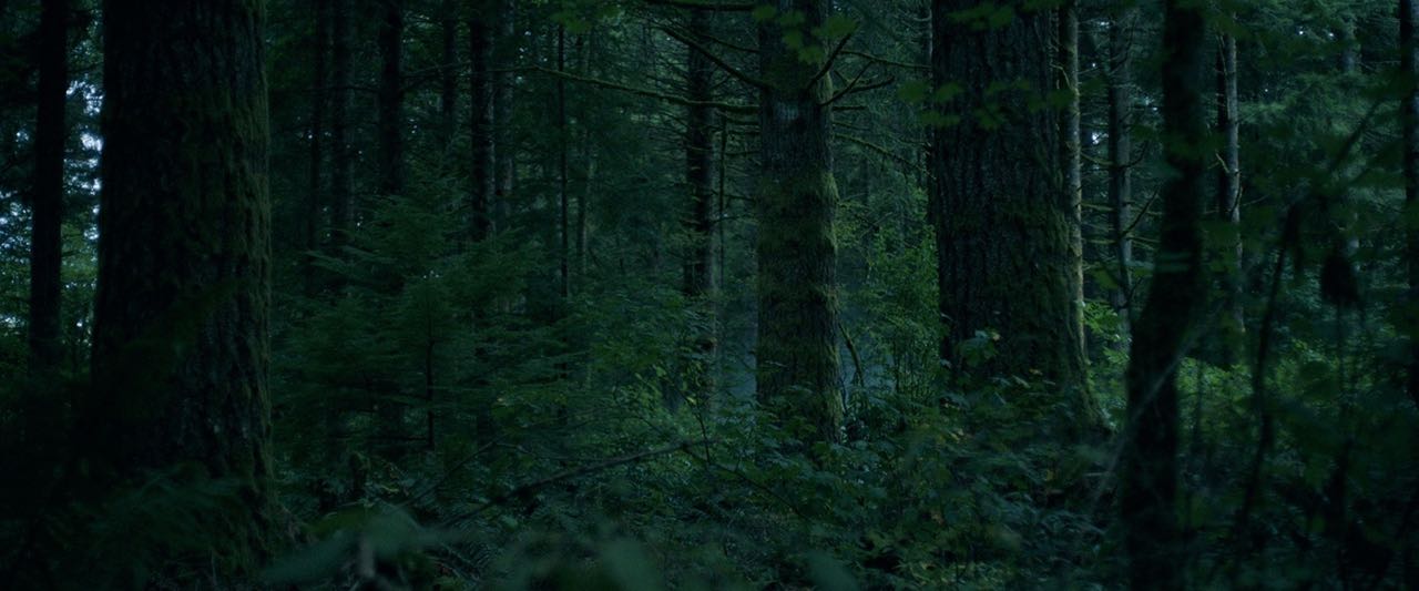 Tense Thrillers to Watch in the Green Room