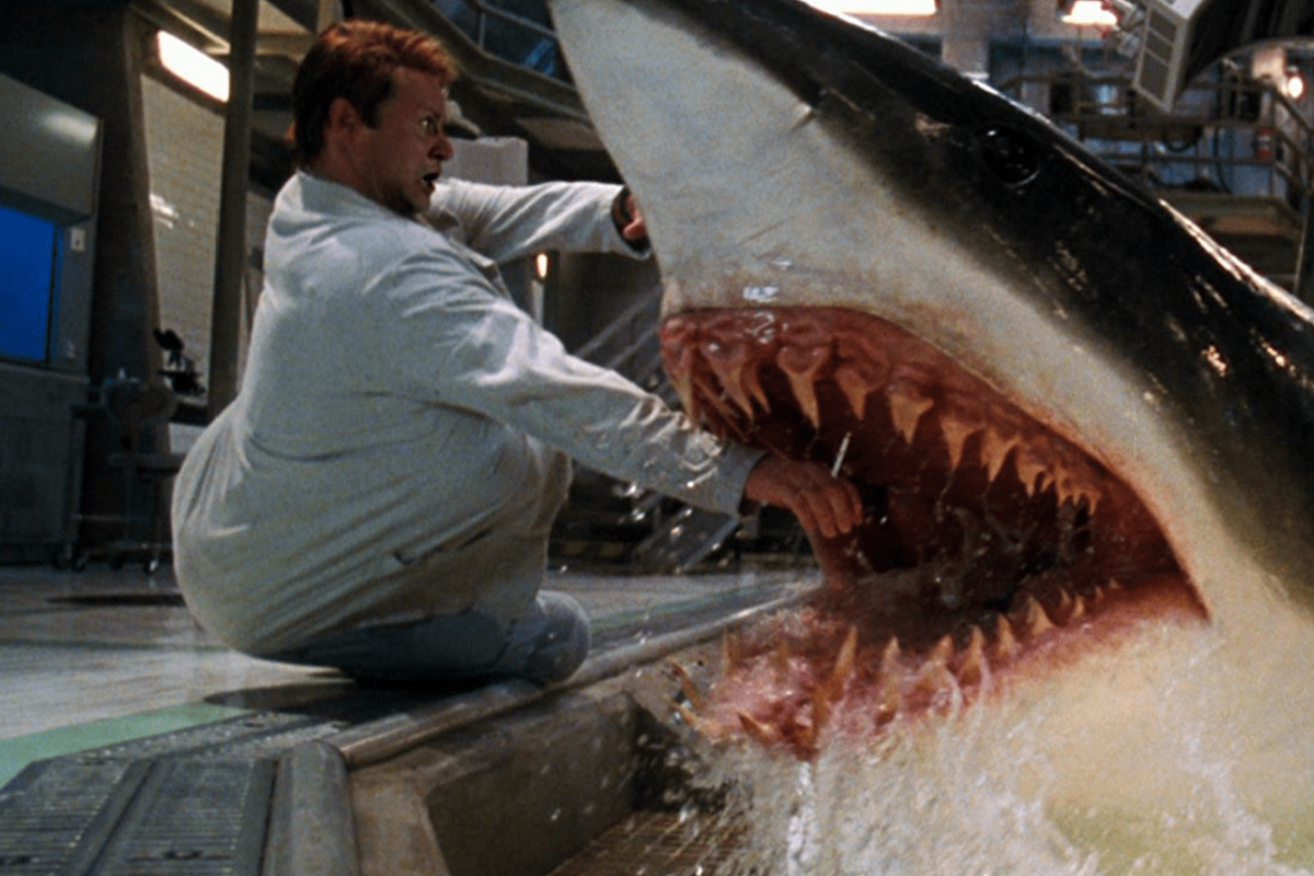 The 5 Best Shark Movies