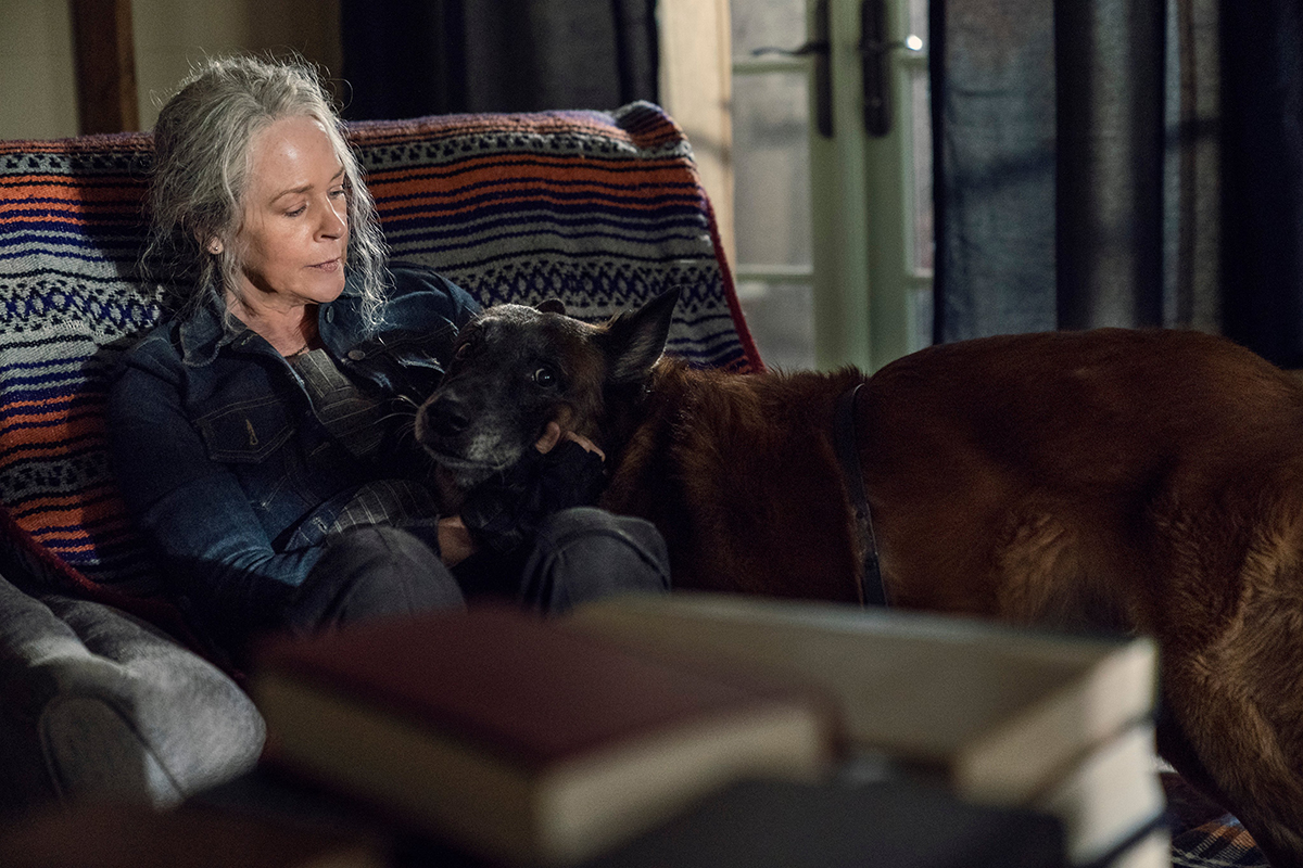 New The Walking Dead Season 10 Bonus Episodes Photos Released